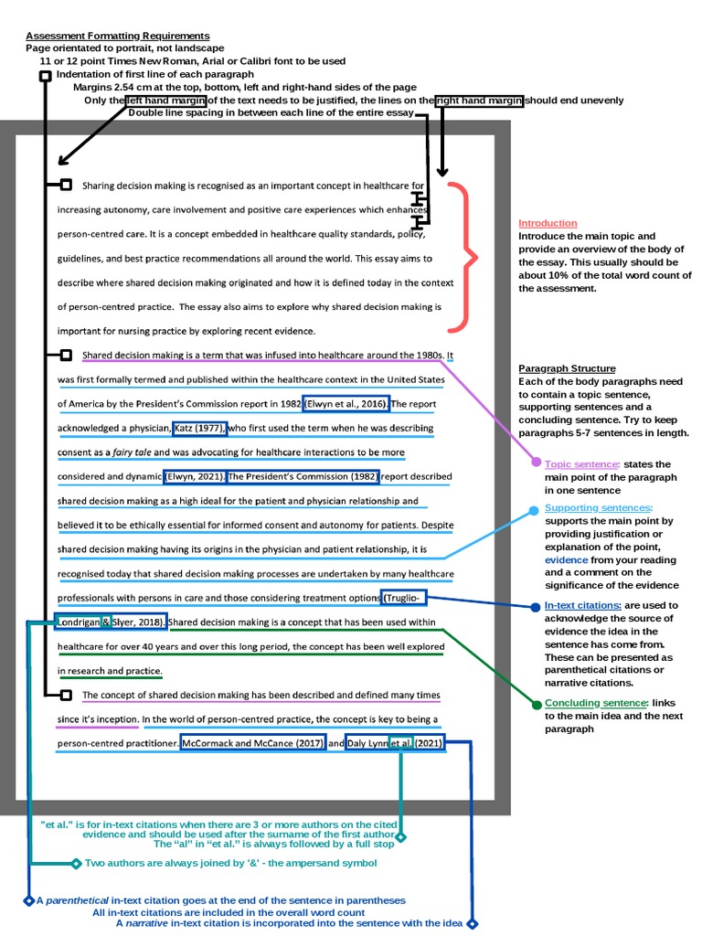 Example Essay | PDF | Citation | Paragraph