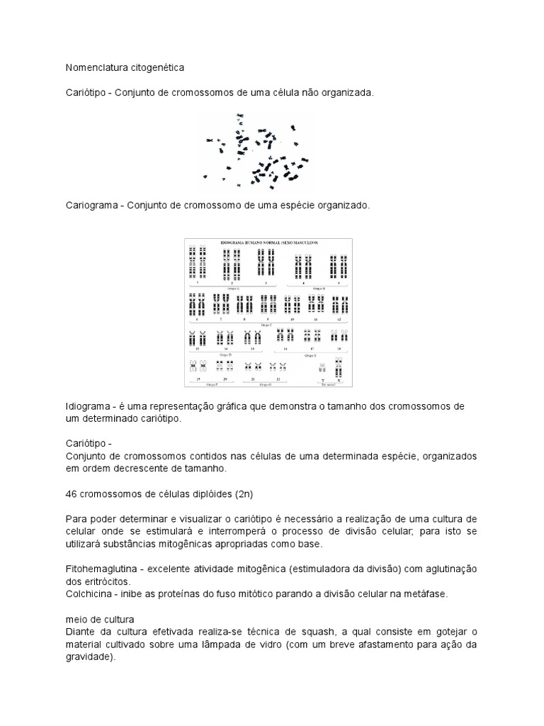 Nomenclatura citogenética | PDF | Cromossomo | Citogenética