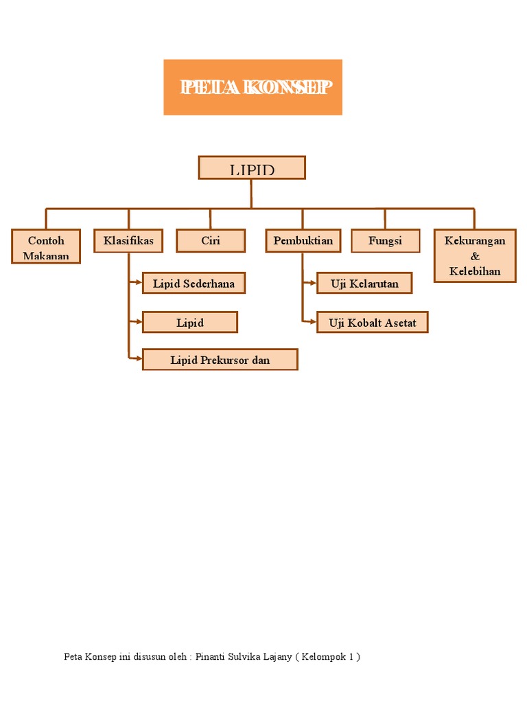 Peta Konsep Lipid dan Fungsinya | PDF