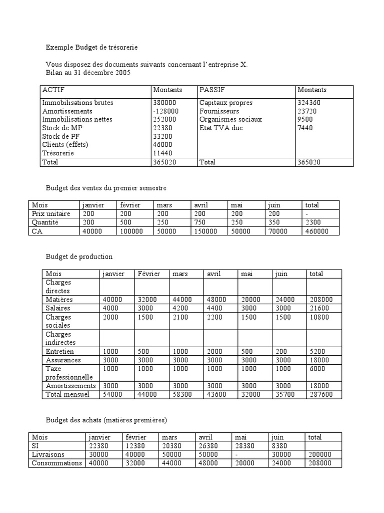 Exemple Budget de Trésorerie | PDF | Taxe sur la valeur ajoutée | Bilan ...