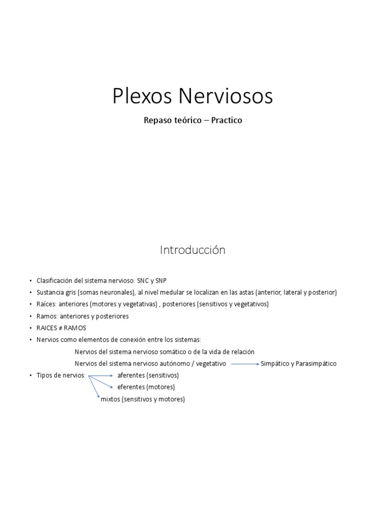 PLEXOS | PDF | Médula espinal | Anatomía humana