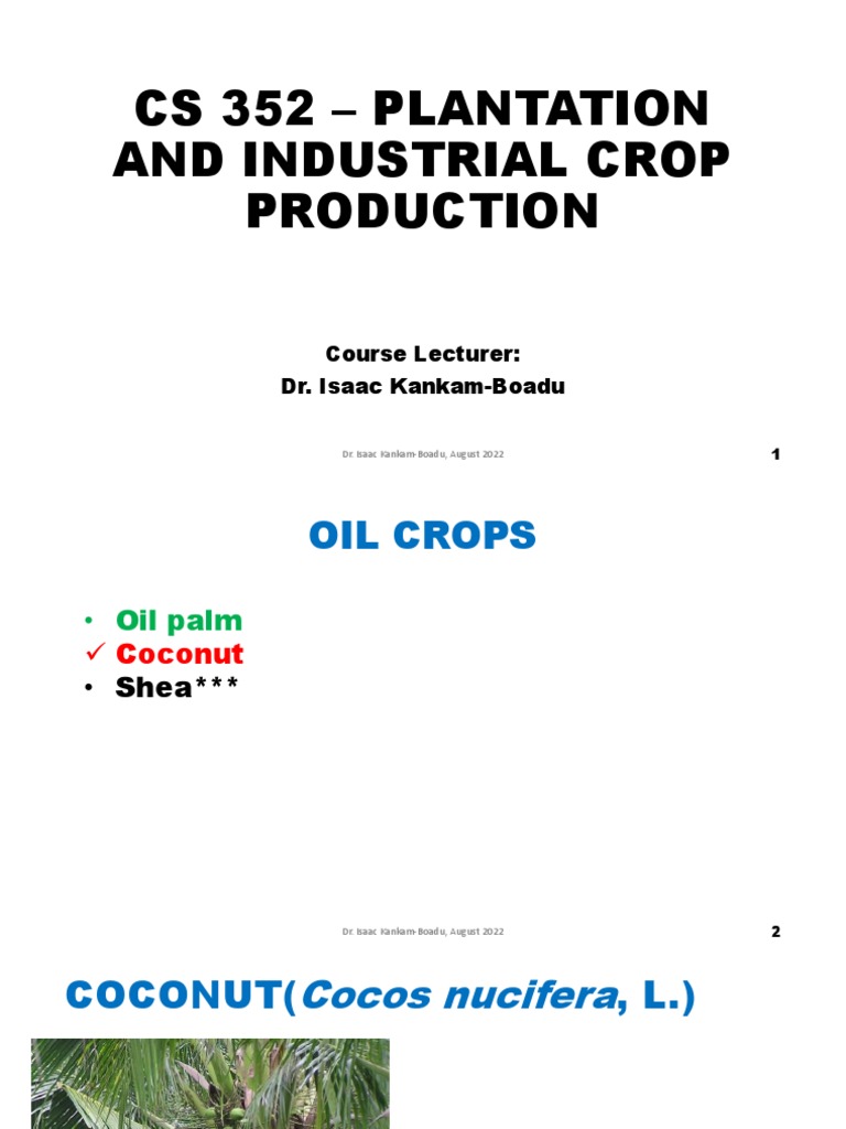 Coconut Lecture Presentation | PDF | Coconut | Ghana
