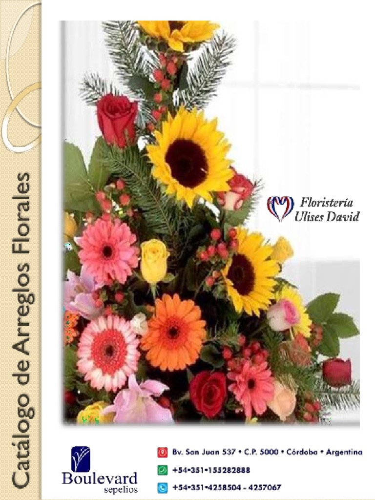 Catalogo Ulises David - EnERO 2023 | PDF