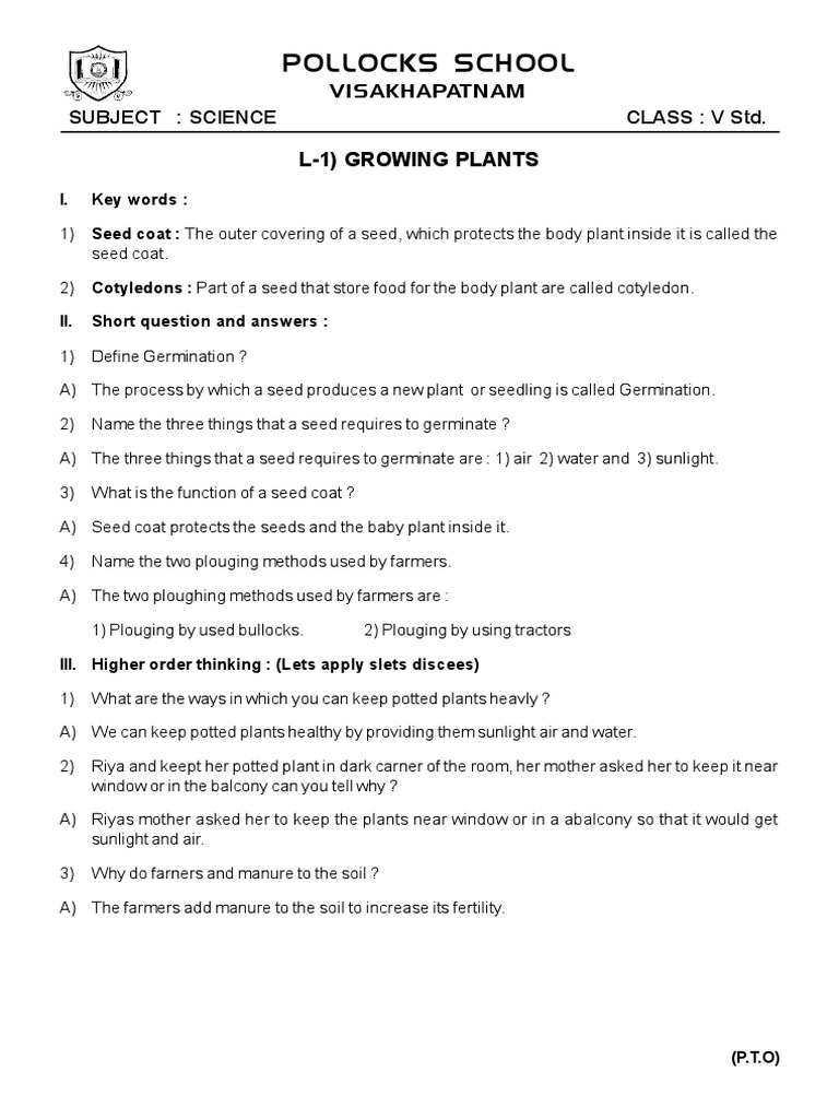 Science Notes 5th Abhi | PDF | Seed | Germination