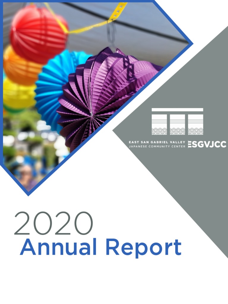 2020 Annual Report Final - PDF v2 | PDF | Expense | Income 2020 Annual Report Final - PDF v2 | PDF | Expense | Income