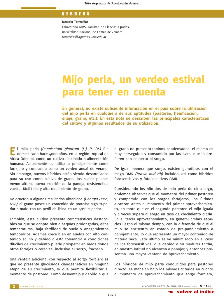 Mijo Perla: Alternativa Forrajera Estival | PDF | Agricultura | Nueces ...