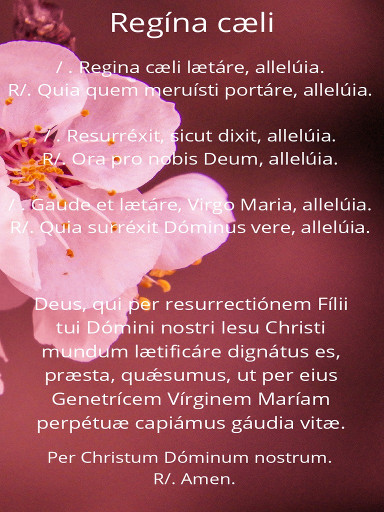 regina_caeli_LATIN__1_ | PDF