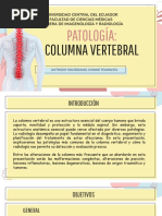 Radiografía de columna dorsolumbar: hallazgos | PDF | La columna ...