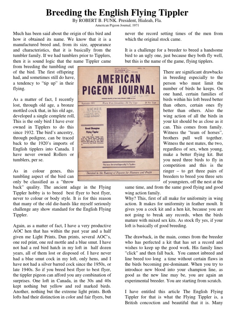 Breeding The English Flying Tippler by by ROBERT B. FUNK. President ...