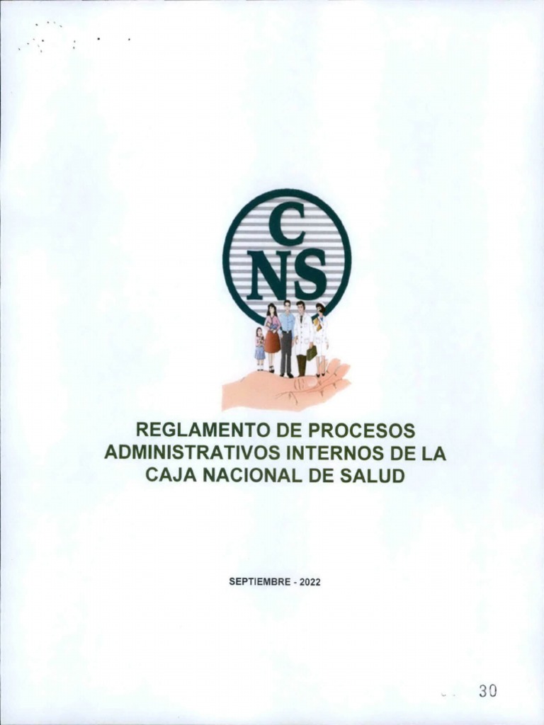 Reglamento de Procesos Internos CNS | PDF