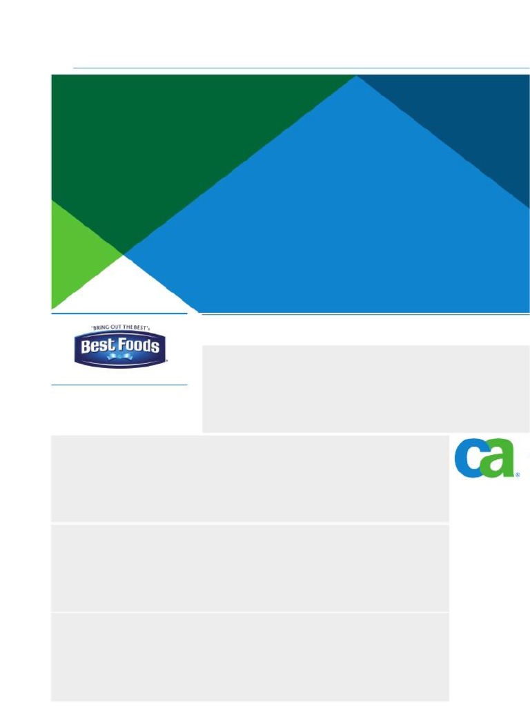 Unilever | PDF | Enterprise Resource Planning | Unilever