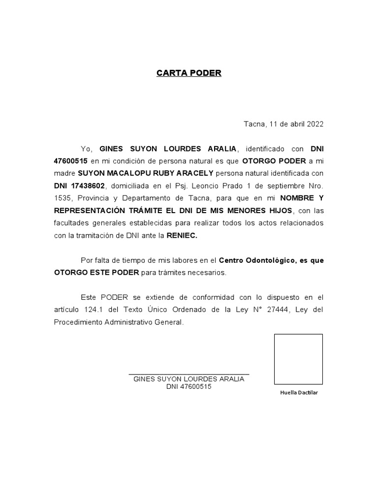Carta Poder Simple Pdf