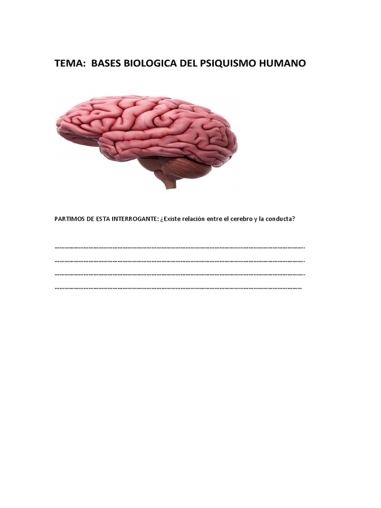 Bases Biologica Del Psiquismo Humano | PDF | Temperamento | Hipotálamo