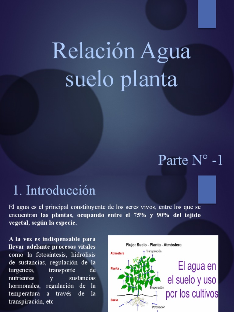 Relacion Agua Suelo Planta - Parte 1 | PDF | Suelo | Agua
