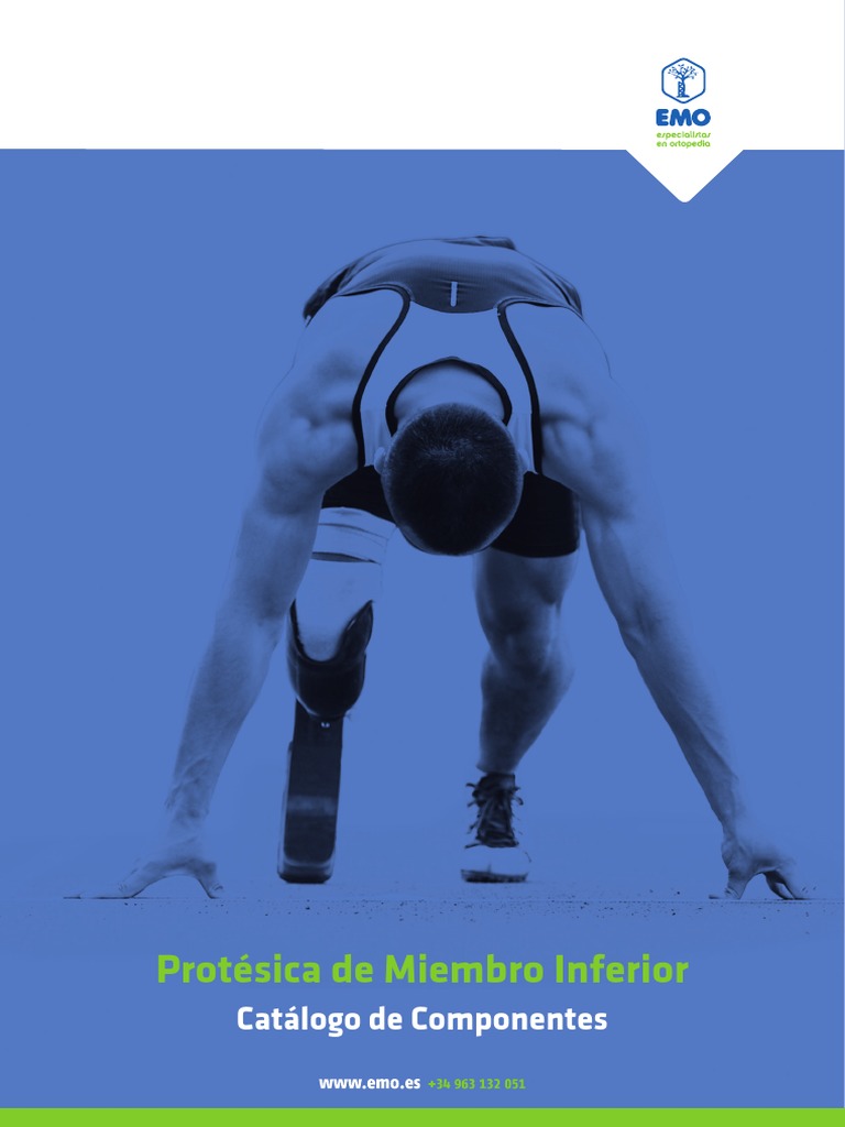 Catálogo Prótesis | PDF | Dentadura postiza | Informática