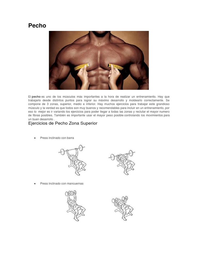 Ejercicios para Pecho | PDF