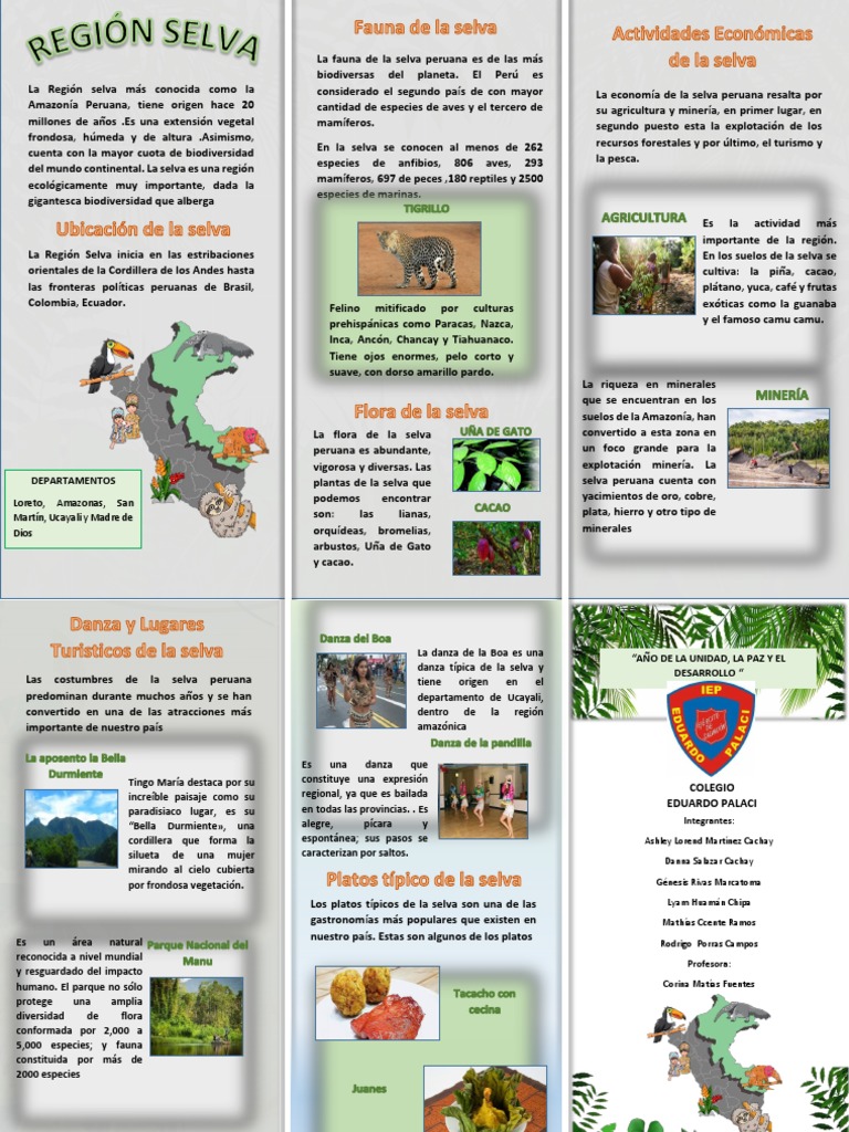 Triptico Region Selva | PDF | Selva amazónica | Perú