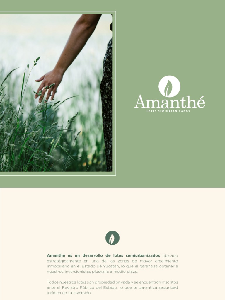 Amanthé Brochure | PDF | Economias