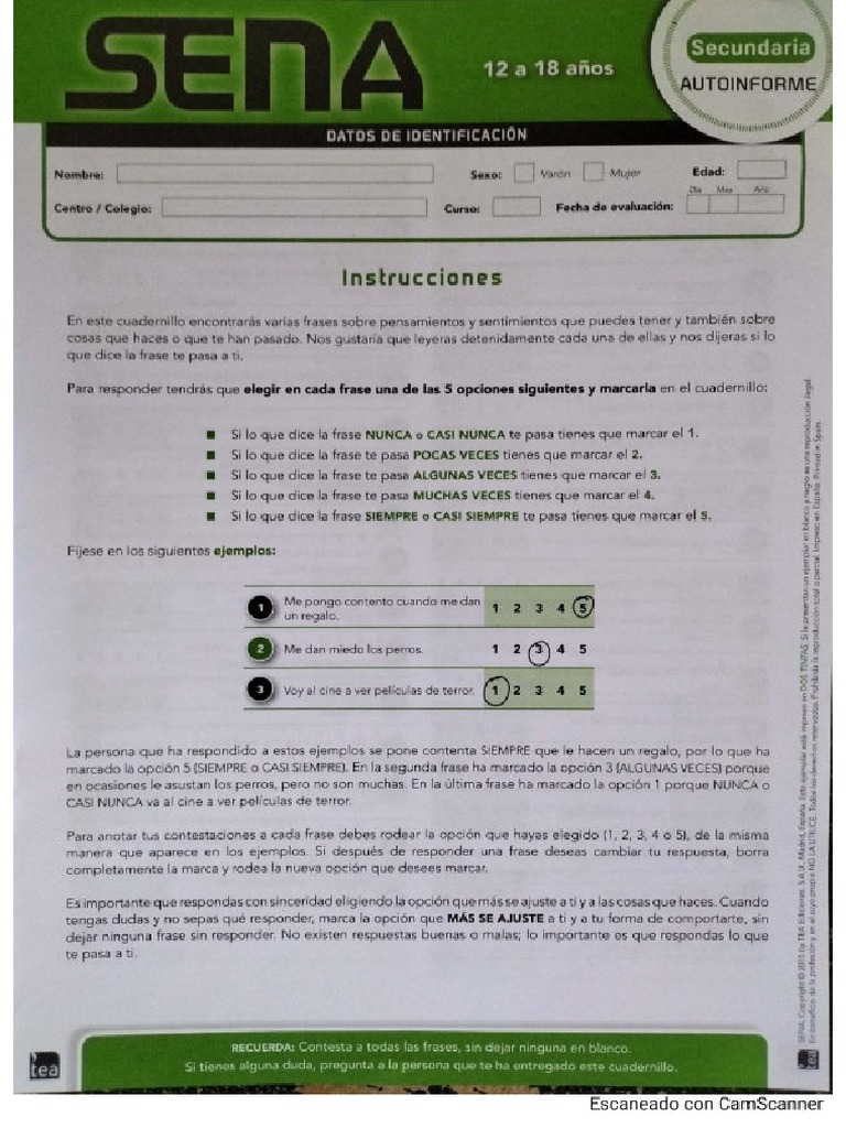 SENA-12-A-18-ANOS-AUTOINFORME | PDF