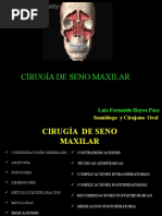 Cavidad Orbitaria, Pterigoidea, Tempora, Fosas Nasales, Pterigomaxilar ...