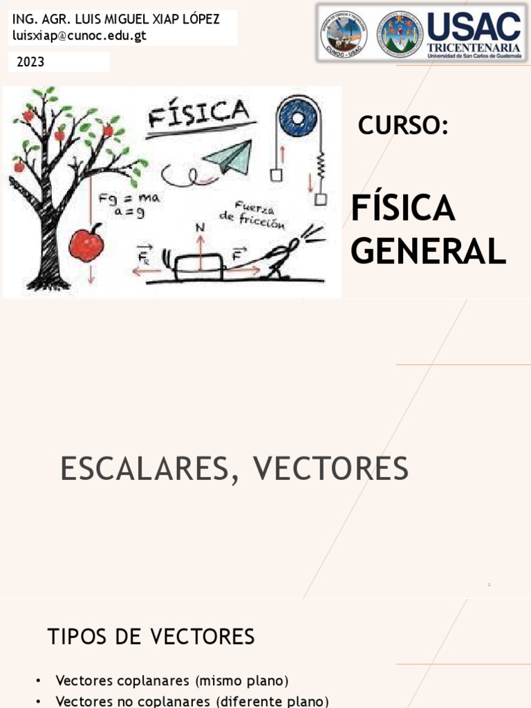 Ejercicios Vectoriales | PDF | Vector Euclidiano | Fuerza