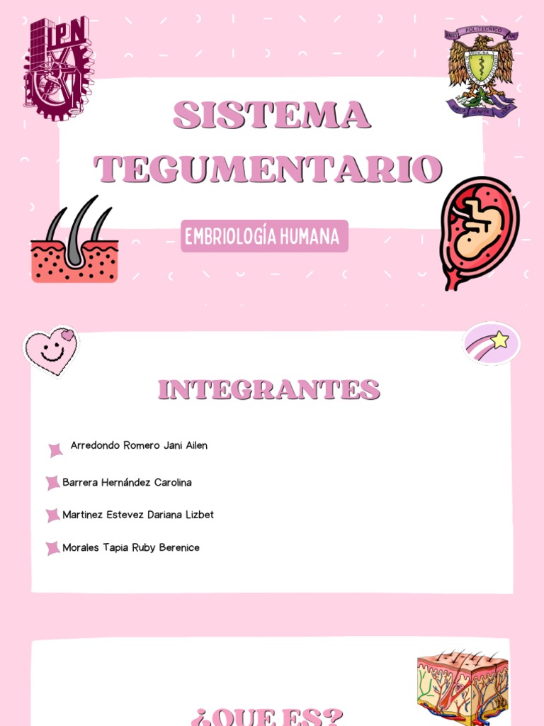 Presentacion Sistema Tegumentario | PDF | Piel | Sistema tegumentario