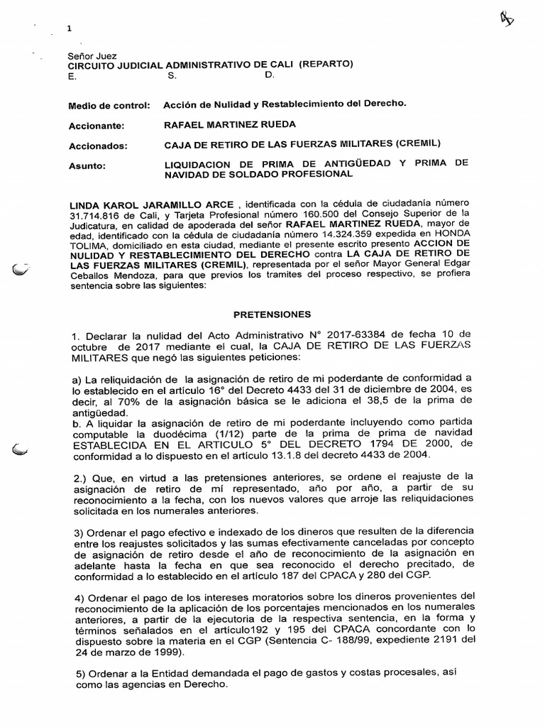 01 Demanda Podery Anexos | PDF