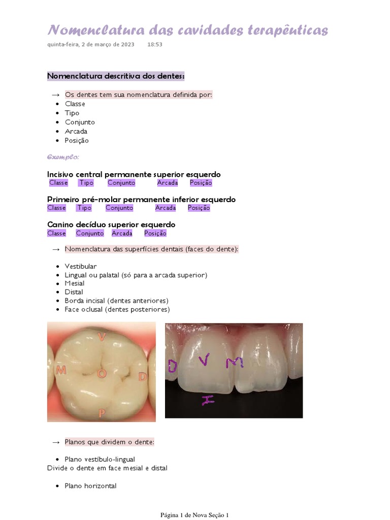 Nomenclatura, Classificação Das Cavidades e Principios Gerais Dos ...