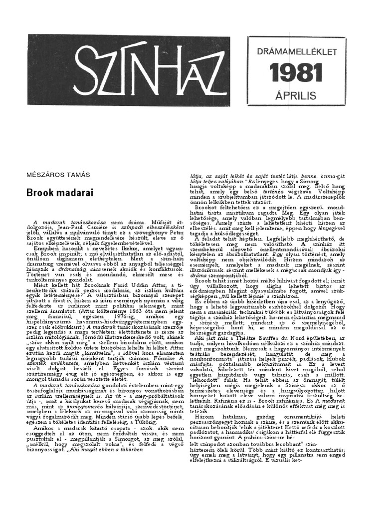 Mészáros Tamás Brook Madarai | PDF