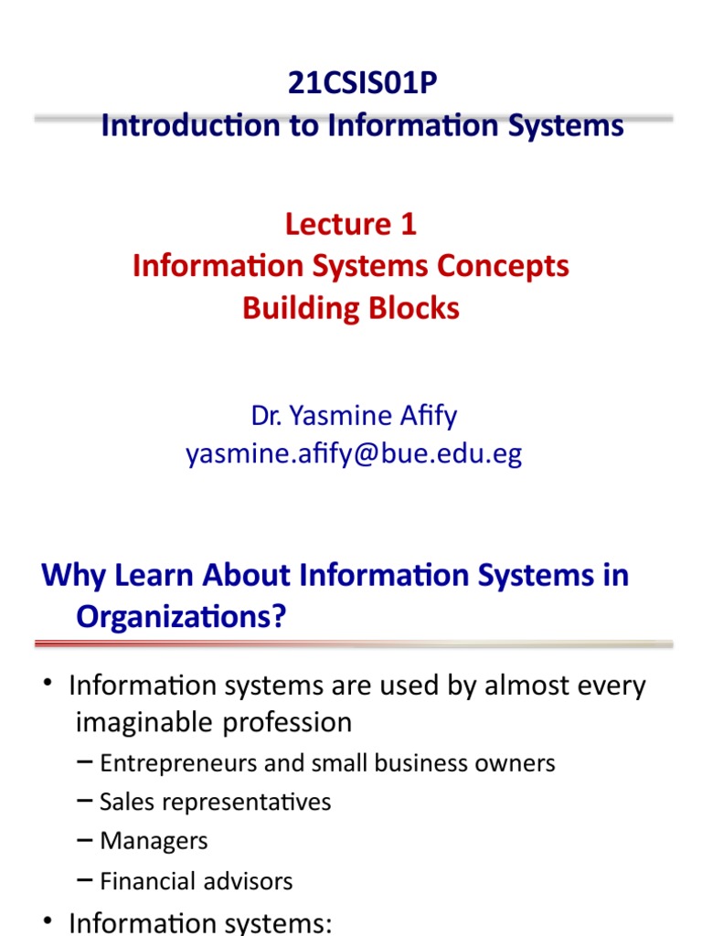 Lecture 1 - Introduction To Information Systems | PDF | Computer Network | Information