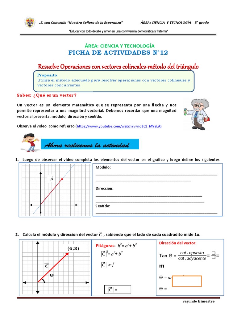 Ficha de Actividades - N°12 - Vectores Colineales y Triangulo | PDF | Vector Euclidiano | Triángulo