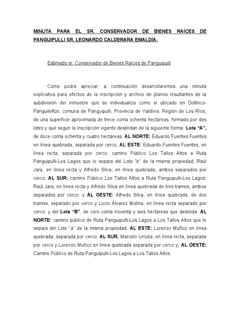 MINUTA CBR Panguipulli | PDF