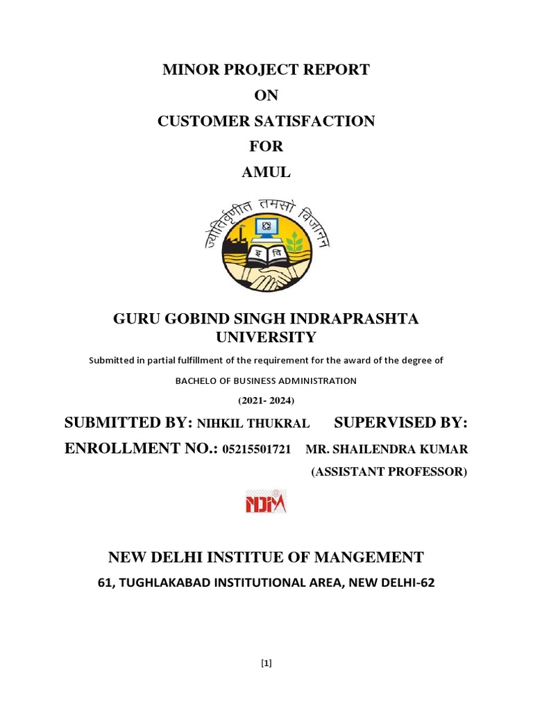 Minor Project Report Nikhil | PDF | Consumer Behaviour | Behavior