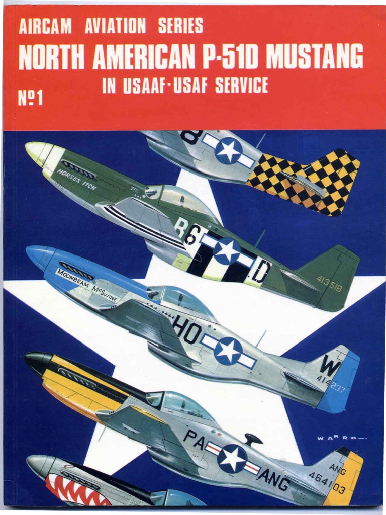 Aircam Aviation 1 - North American P-51D Mustang (In USAAF - USAF ...