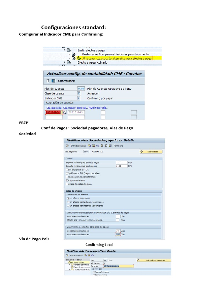 Configuración CME para Confirming SAP | PDF | Informática