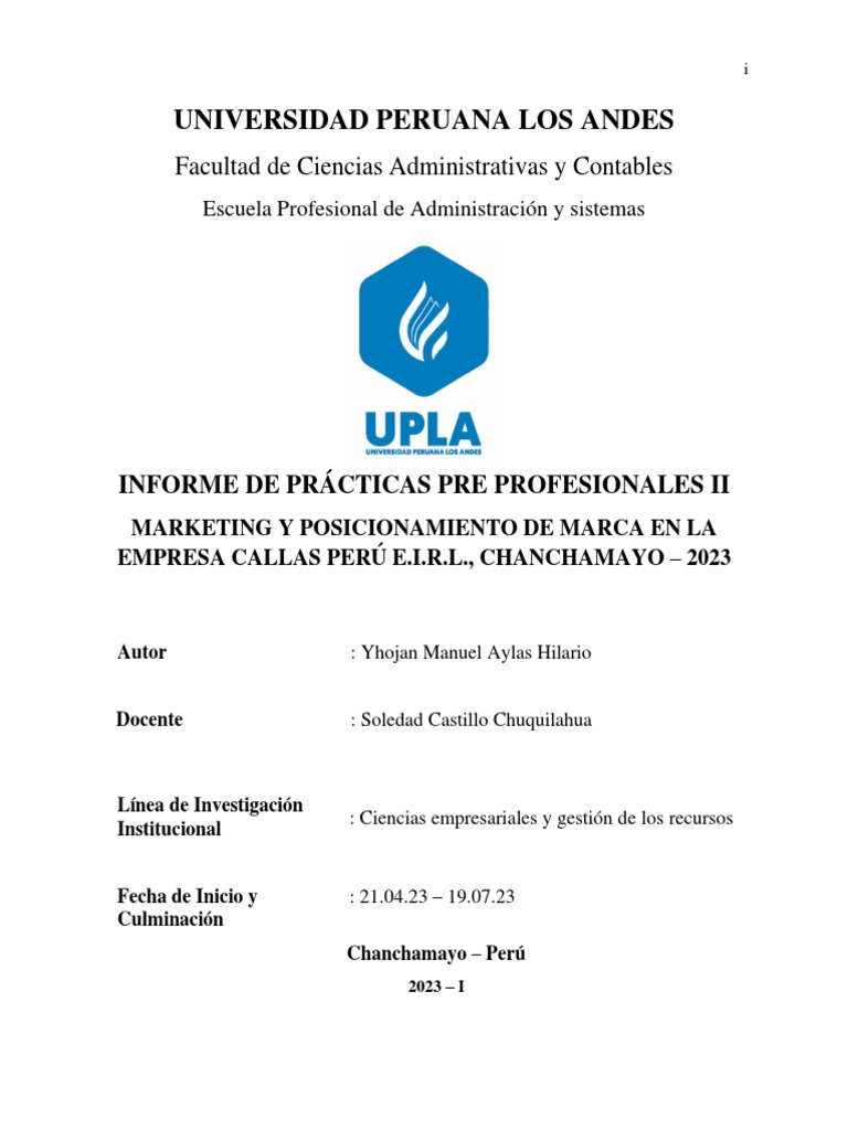 Informe de PPP | PDF | Marketing | Business