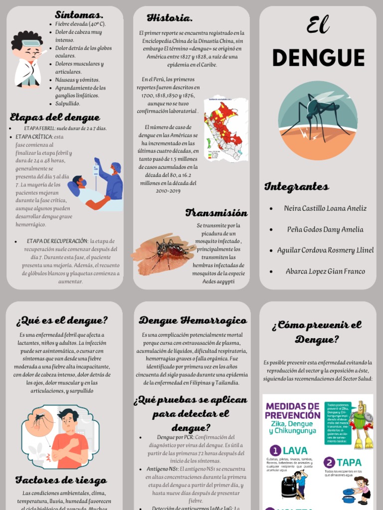 Triptico Del Dengue | PDF | Especialidades Medicas | Enfermedades y ... Triptico Del Dengue | PDF | Especialidades Medicas | Enfermedades y ...