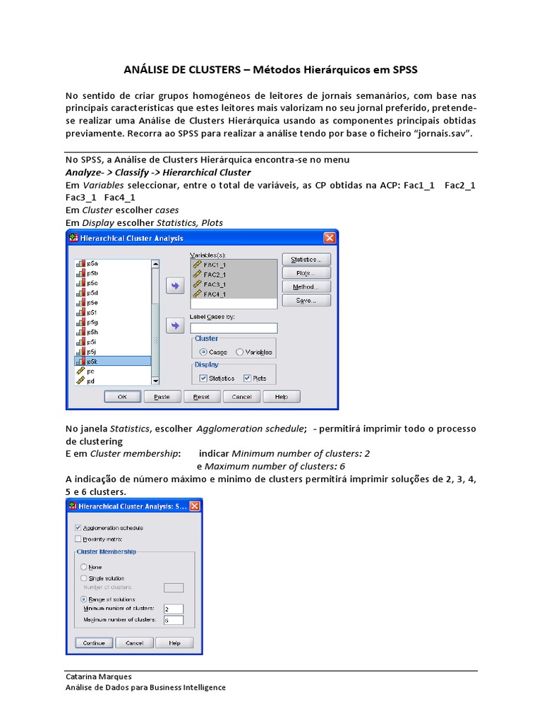 Análise de Clusters Hierárquica no SPSS | PDF | Análise de cluster | Método científico