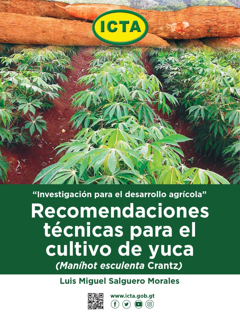 Manual Cultivo de Yuca ICTA | PDF | Agricultura | Cosecha