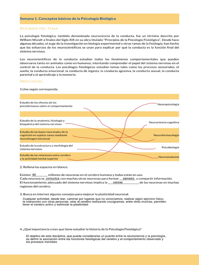 Cuaderno de Prácticas Bases Biológicas TAREA 1-4-5 | PDF | Neurociencia | Sicología