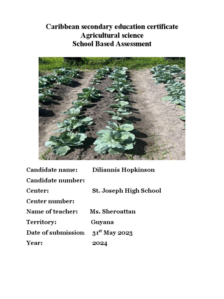 Crop Production SBA Diliannis | PDF | Cabbage | Broccoli