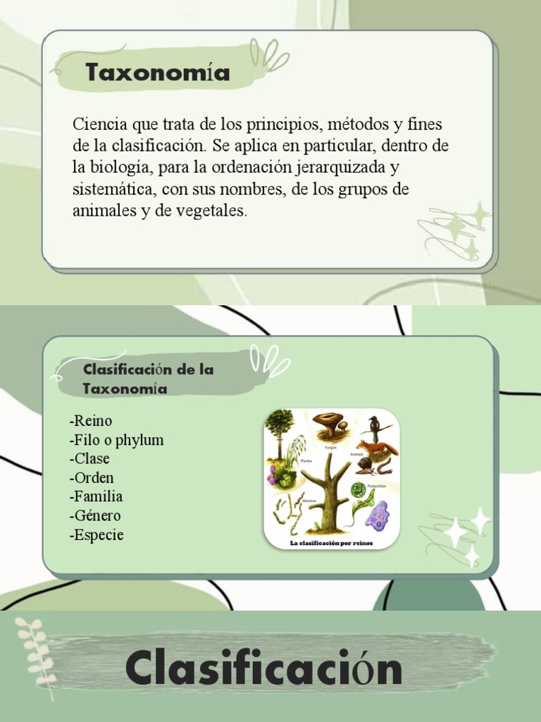 Taxonomía | PDF | Ciencia y matemáticas