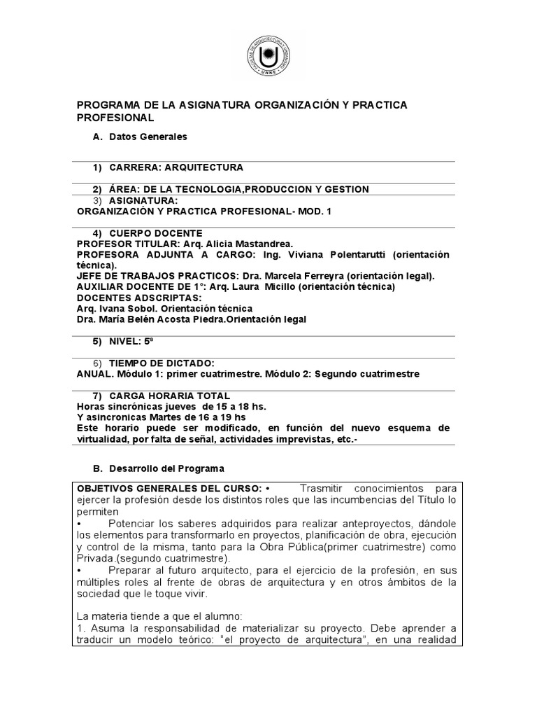 PROGRAMA 2021 - ORGANIZACION Y PRACTICA PROFESIONAL Sin Planificacion | PDF | Presupuesto | Maestros