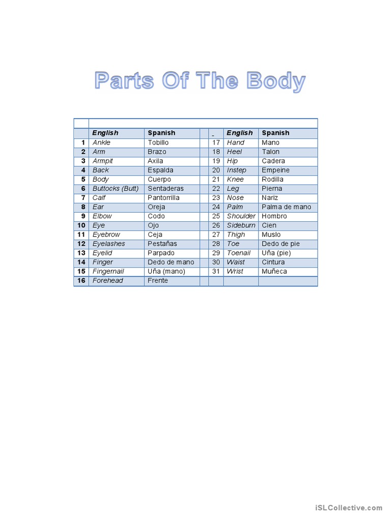Parts of The Body | PDF
