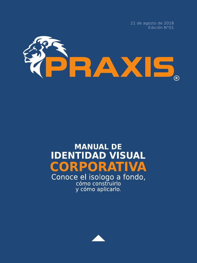 Manual Identidad-Centro de Estudios Praxis | PDF | Color | Artes ...