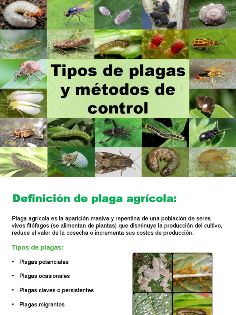 Tipos de Plagas y Métodos de Control | PDF | Plaga (organismo) | Agricultura