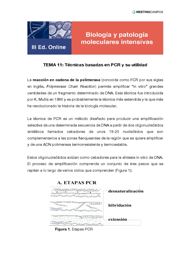 Historia y técnicas de PCR | PDF | Reacción en cadena de la polimerasa ...