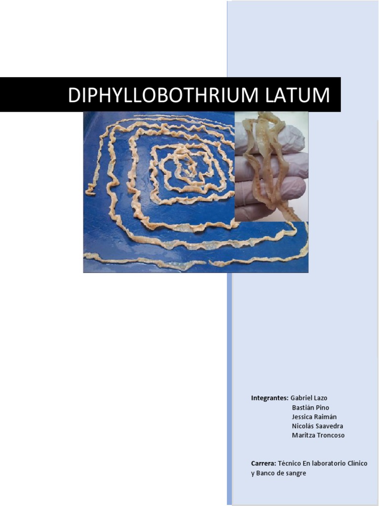 D. Latum Informe | PDF | Pescado | Huevo