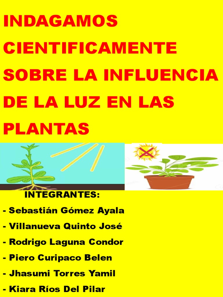 Plantas Con Luz Solar y Sin Luz Solar | PDF | Naturaleza