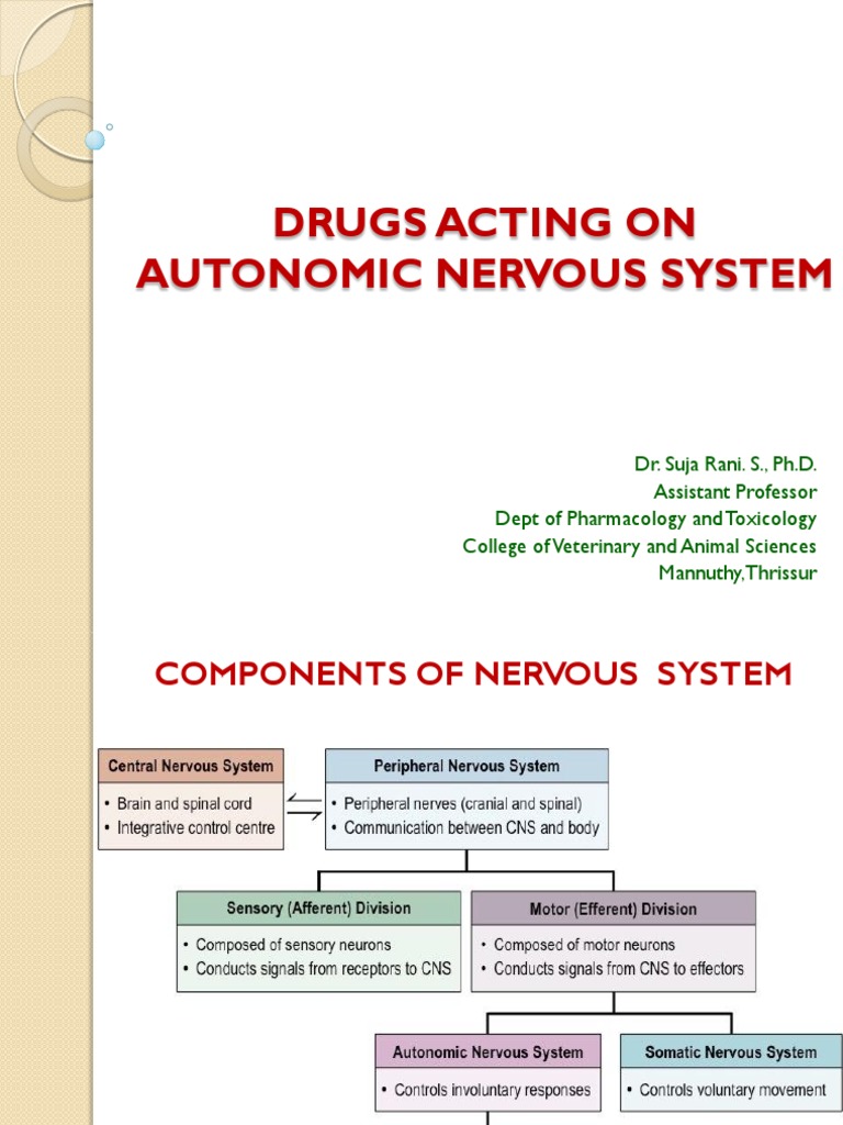ANS Pharmacology | PDF | Acetylcholine | Chemical Synapse